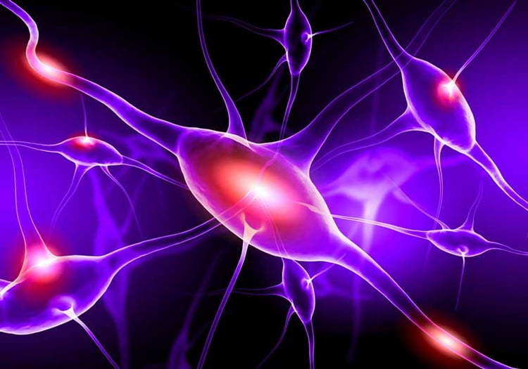 Trigeminal Neuralgia or TMJ Disorder?