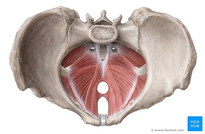 Prostatitis
